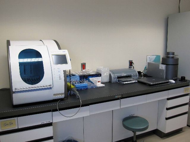 Division of Clinical Research | National Epilepsy Center